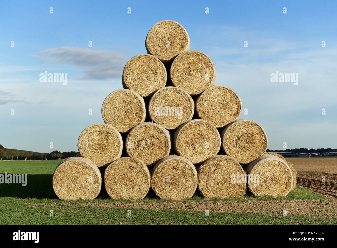 Bad feed fodder hi-res stock photography and images - Alamy