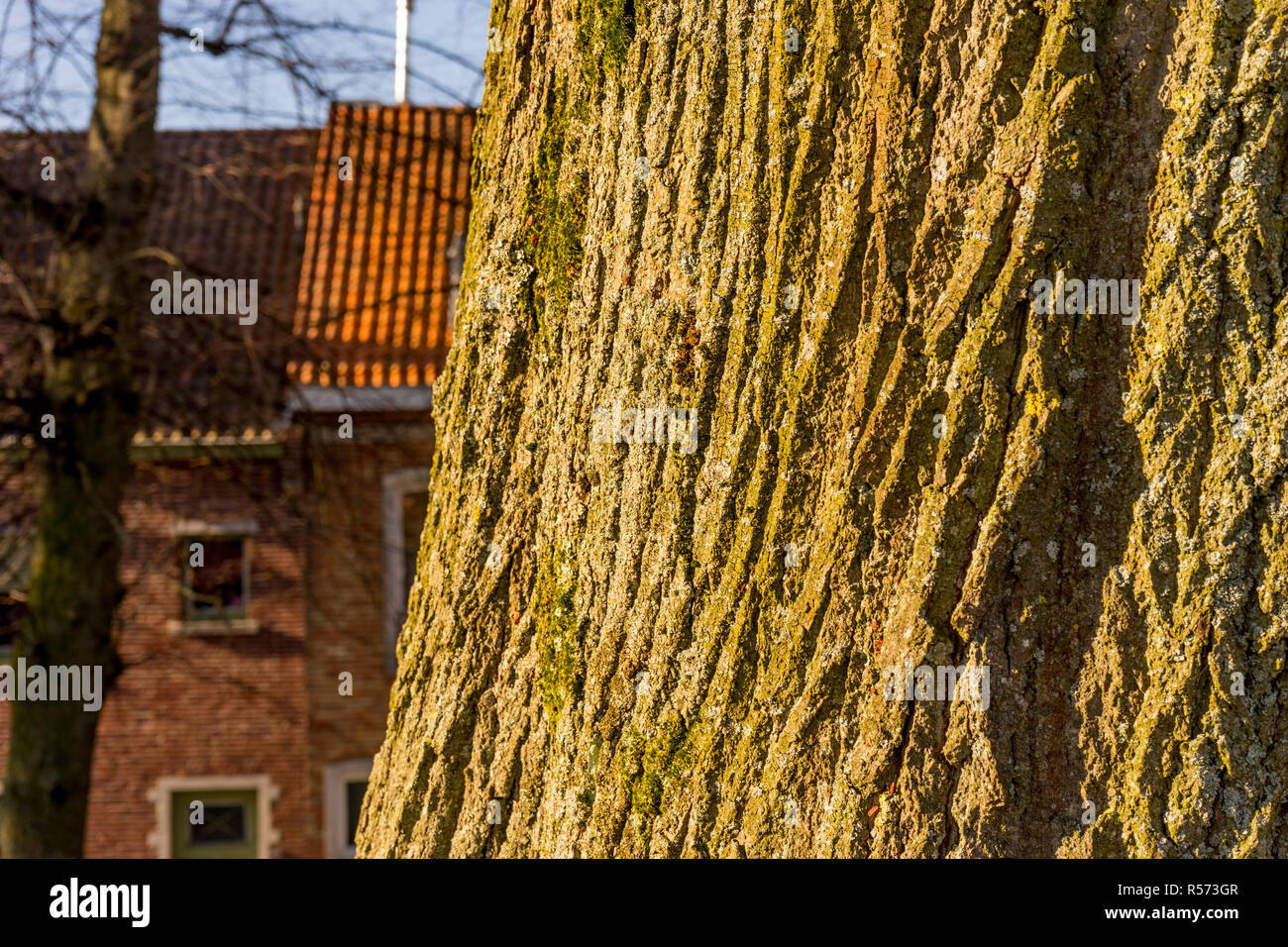 Bruges district hi-res stock photography and images - Alamy