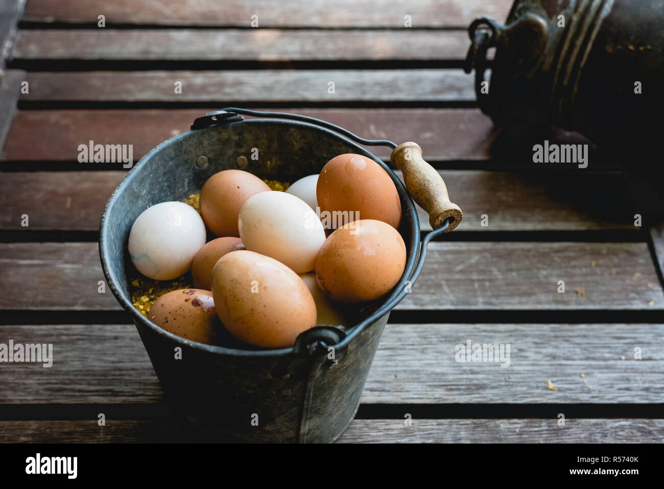 Metal bucket full of organic chicken eggs Stock Photo - Alamy