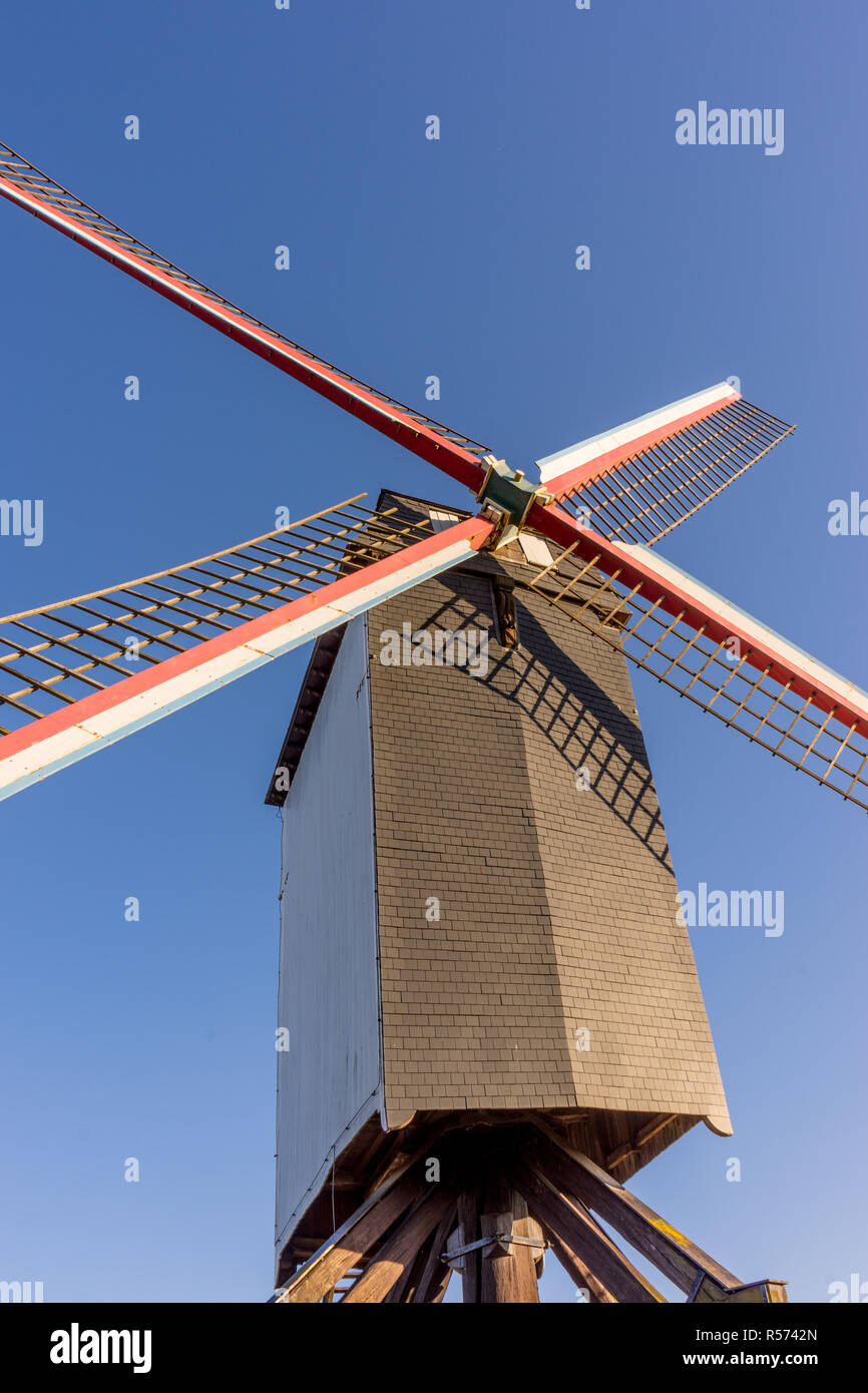 Europe, Belgium, Bruges, a windmill in the background Stock Photo - Alamy