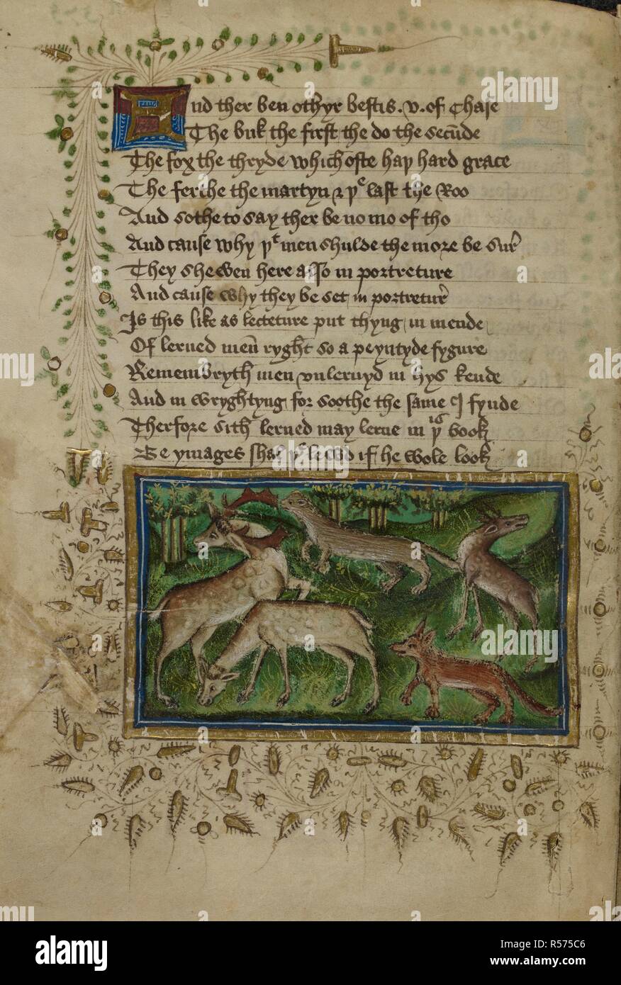 Edward roe hi-res stock photography and images - Alamy