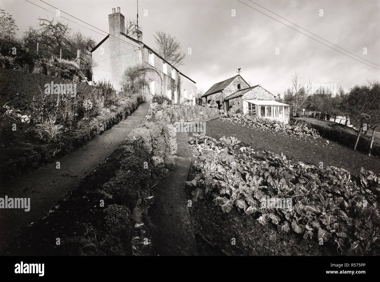 Littledean hi-res stock photography and images - Alamy