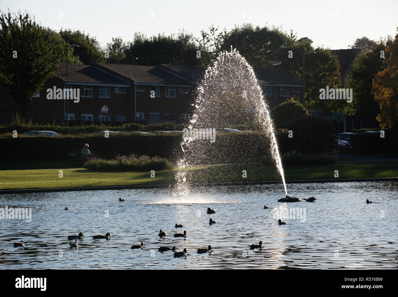 Eastrop park basingstoke hi-res stock photography and images - Alamy