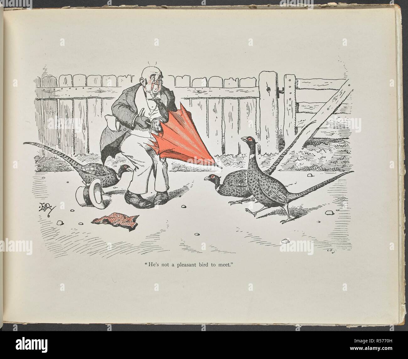 "He's not a pleasant bird to meet." Pheasants attacking a man. . Tails ...