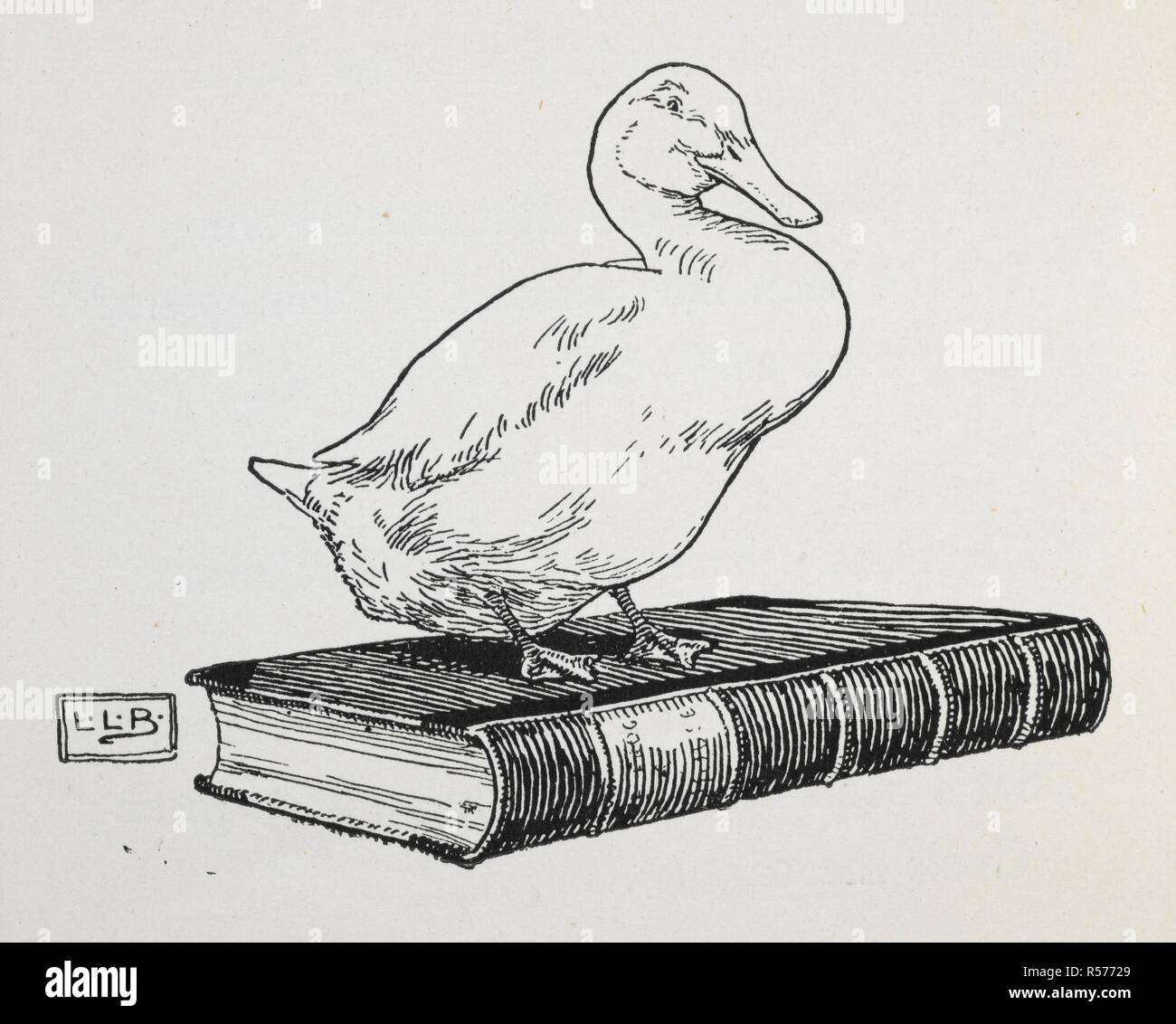 A duck sitting on a book. The Nursery Rhyme Book. Edited by Andrew Lang ...