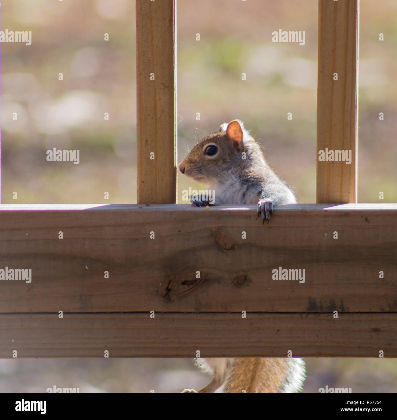 turn to the side Stock Photo - Alamy