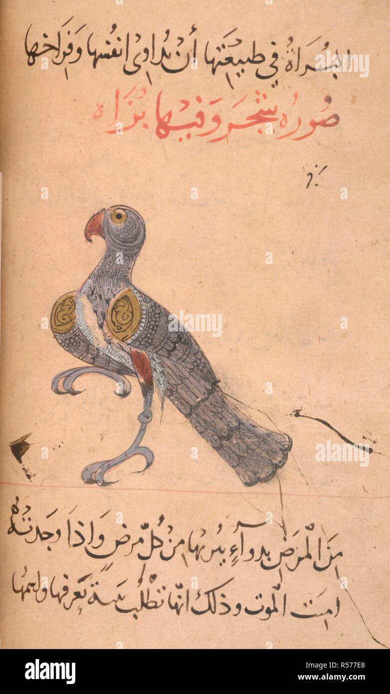 Kitab al hayawan hi-res stock photography and images - Alamy