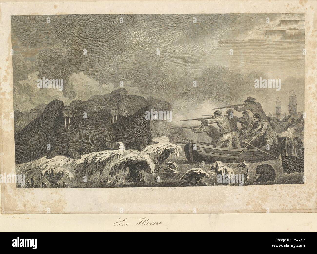 Captain James Cook And Crew