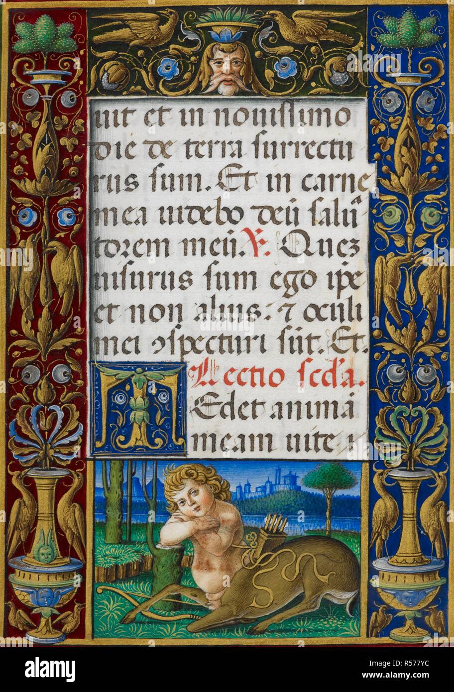 Dead centaurs hi-res stock photography and images - Alamy