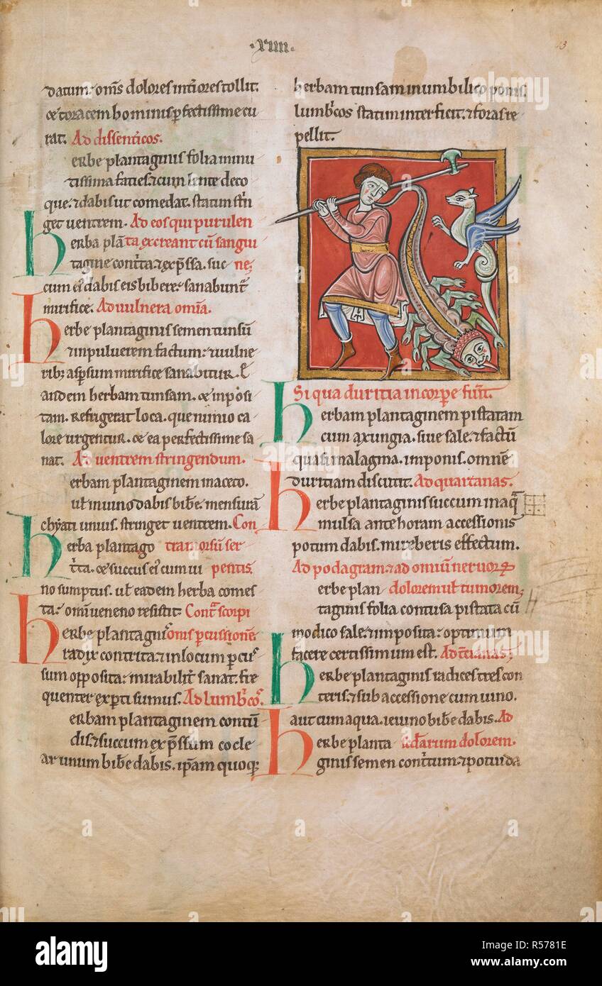 Halberd england hi-res stock photography and images - Alamy