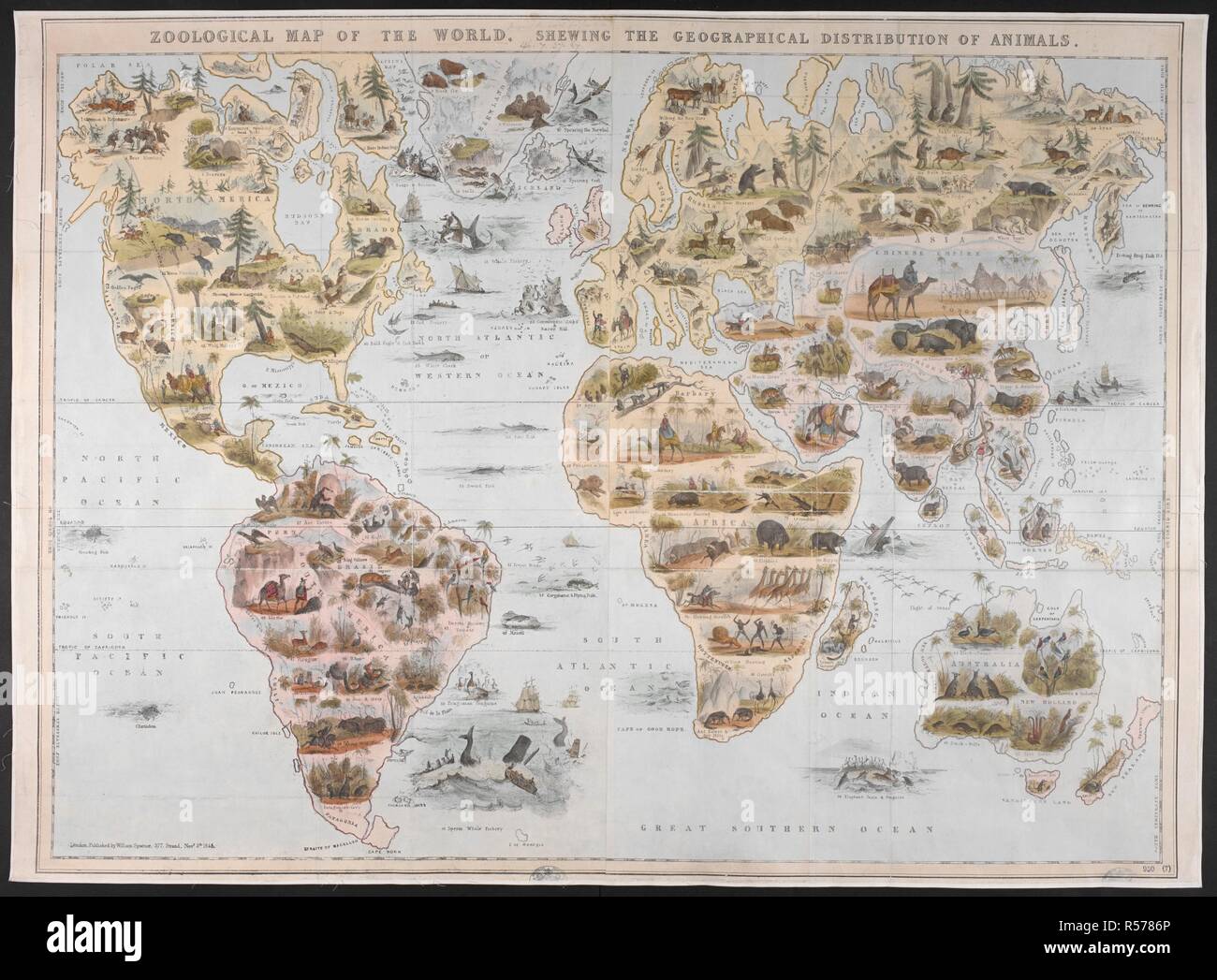 A zoological map of the world. Zoological Map of the World, shewing the ...