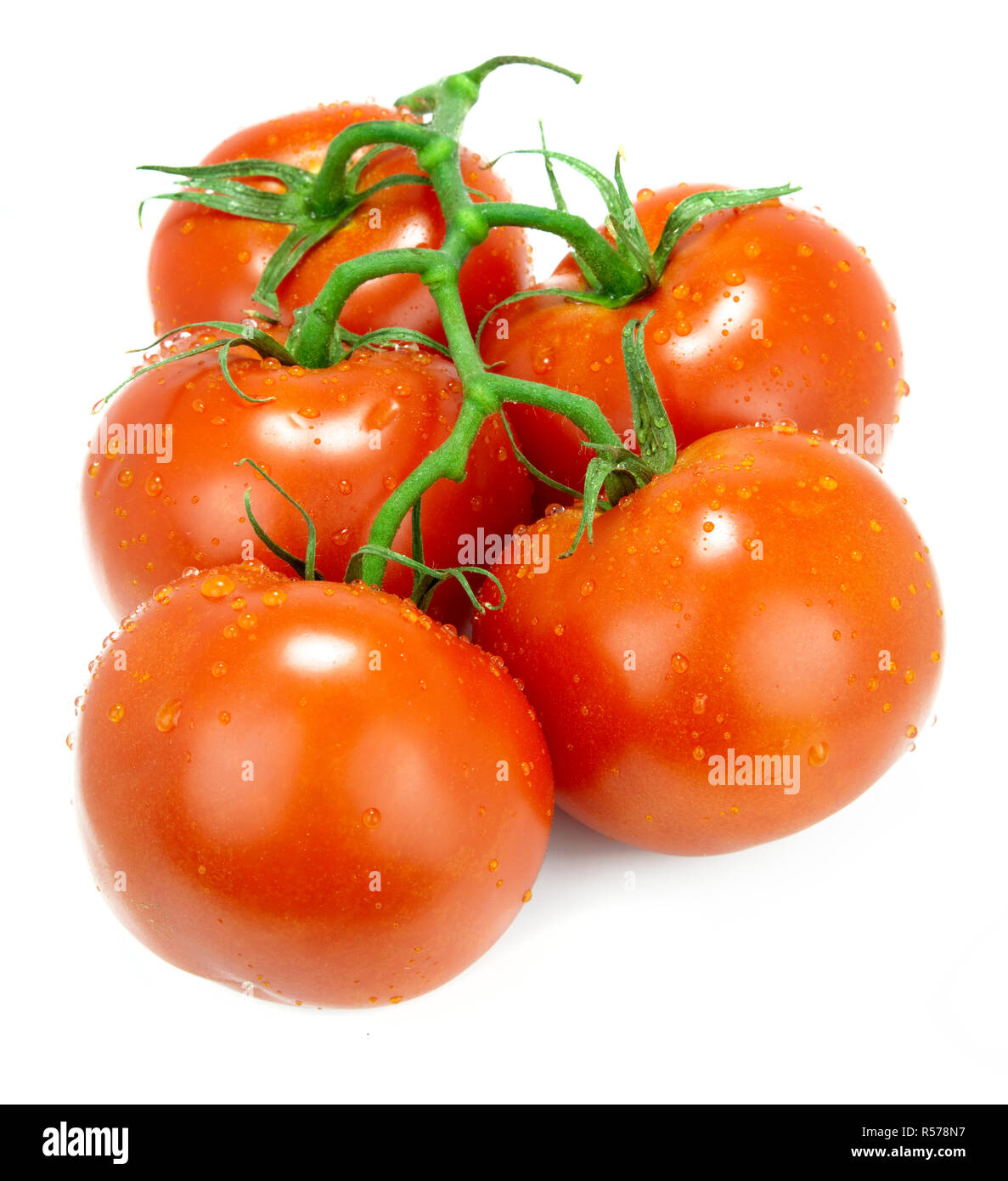 Ripe tomato fruit on plant Cut Out Stock Images & Pictures - Alamy