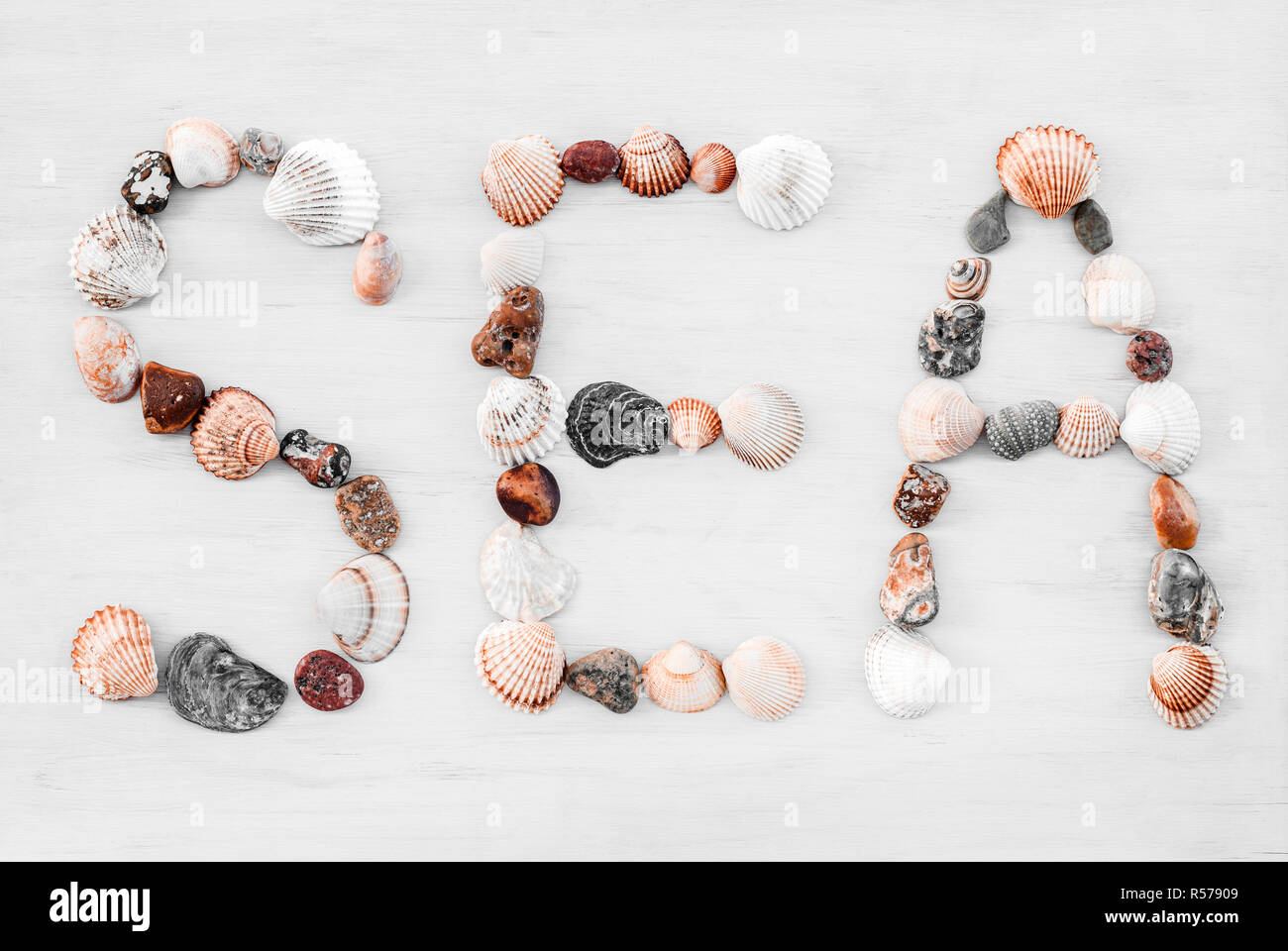 The word SEA written with variety of seashells on white wooden surface ...