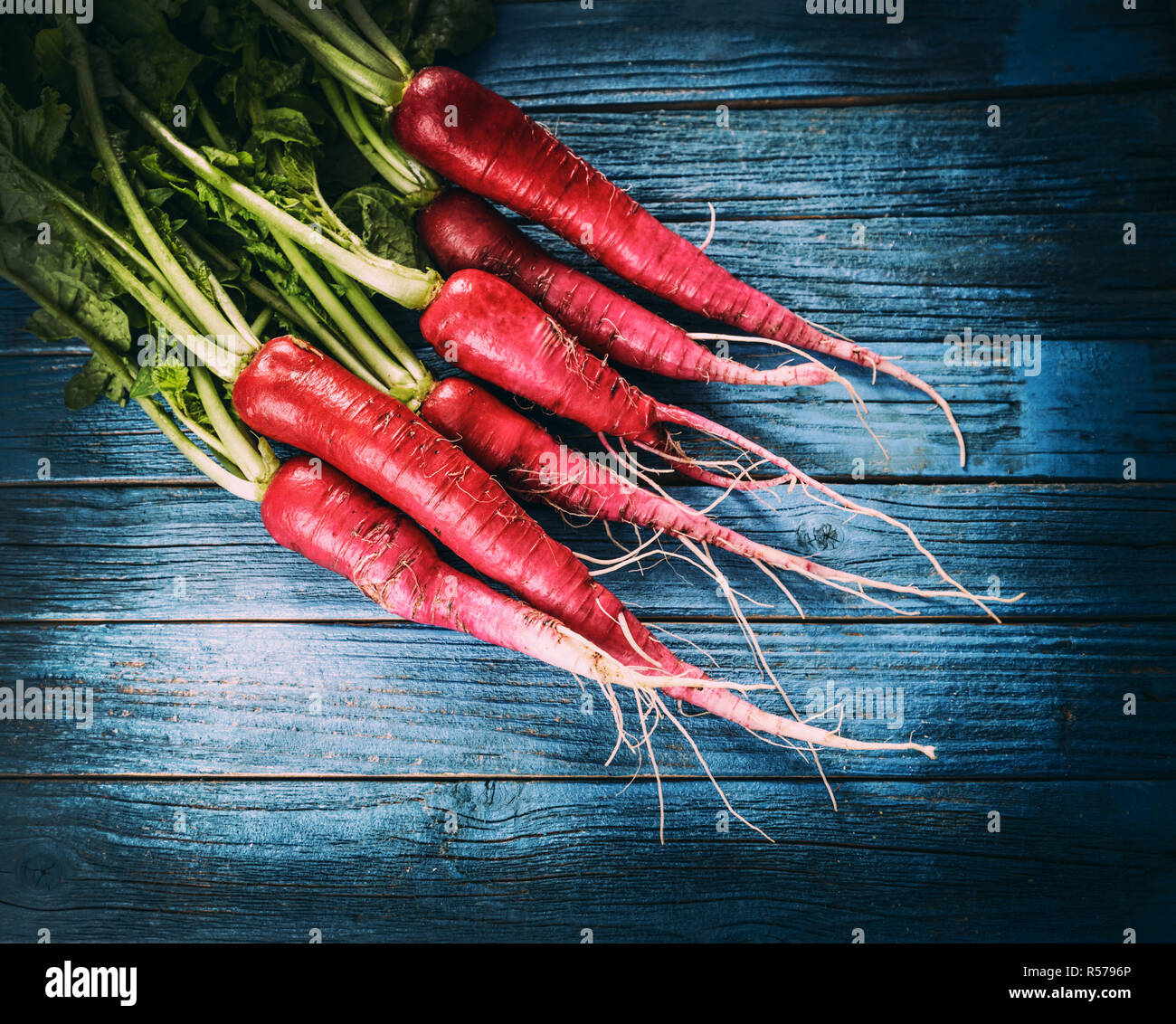 Bunch of fresh long radish Stock Photo - Alamy
