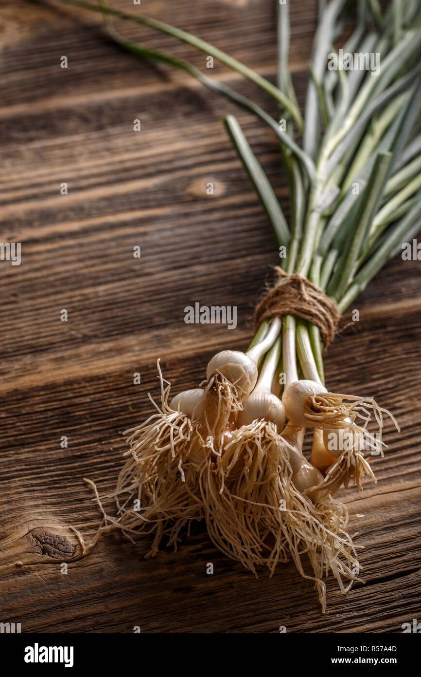 Spring organic garlic Stock Photo - Alamy