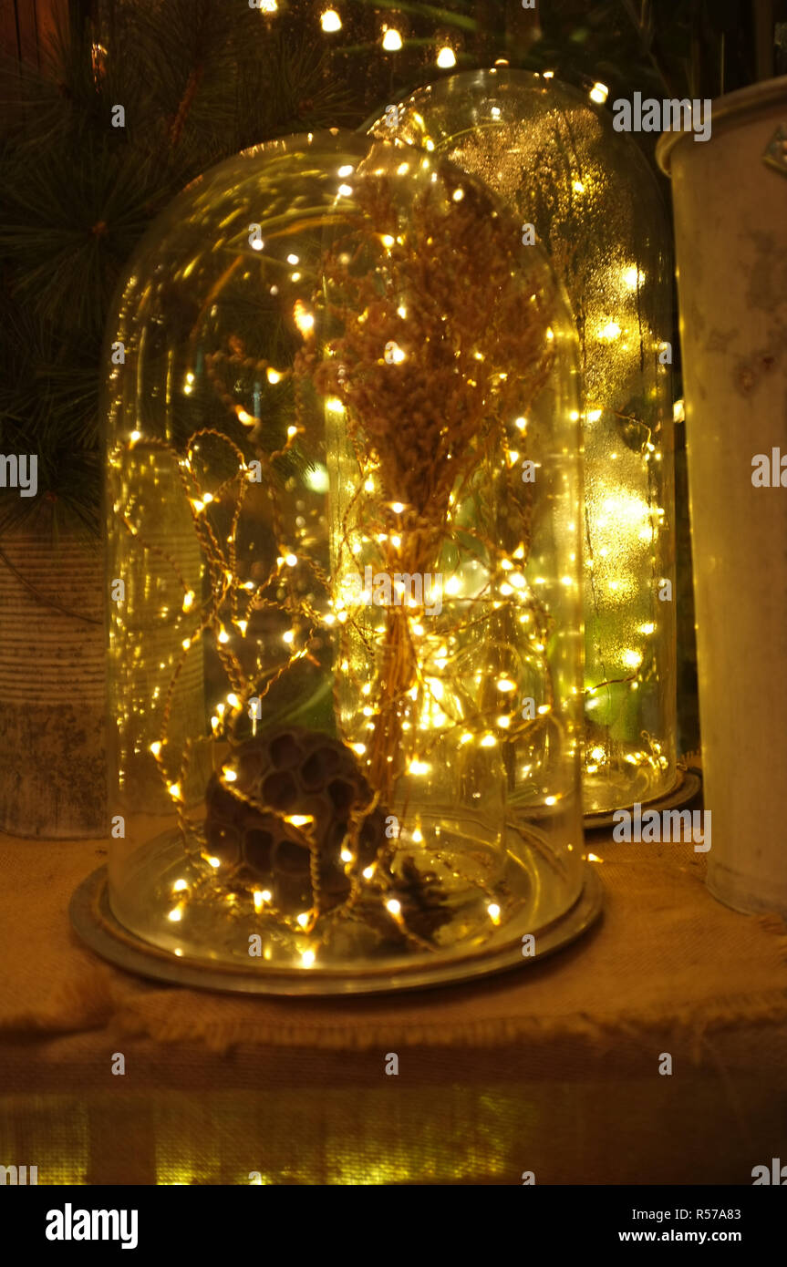 Light string decoration in dome glass Stock Photo - Alamy