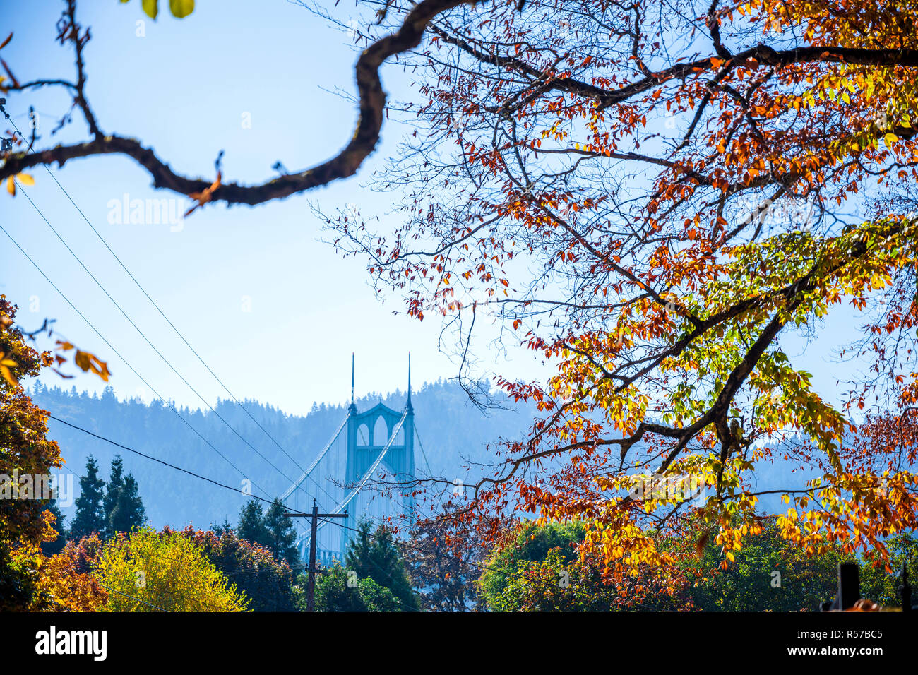 The famous St Johns bridge in the gothic style across the Willamette ...