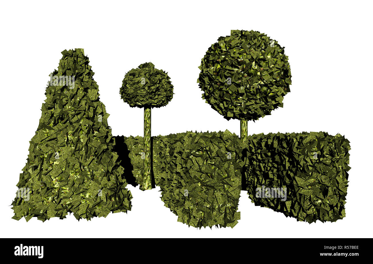 buxbaum hedges and bushes free Stock Photo - Alamy