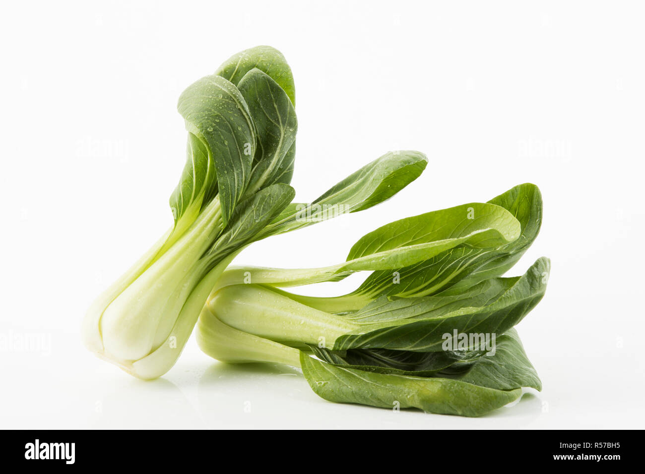 shanghai pak choi - shanghai mustard cabbage Stock Photo - Alamy