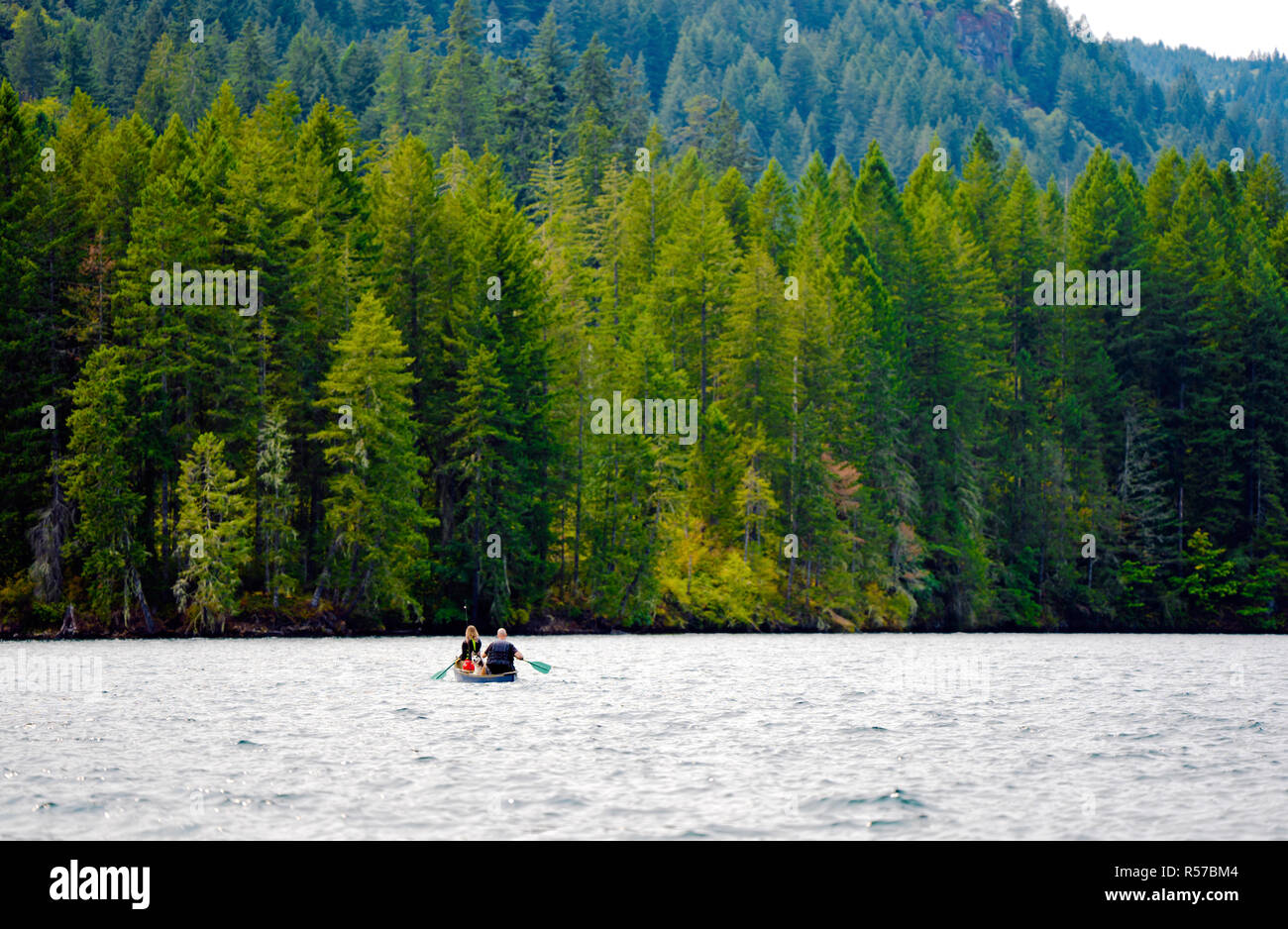 Picturesque mountain clear water deep Merwin Lake with evergreen ...