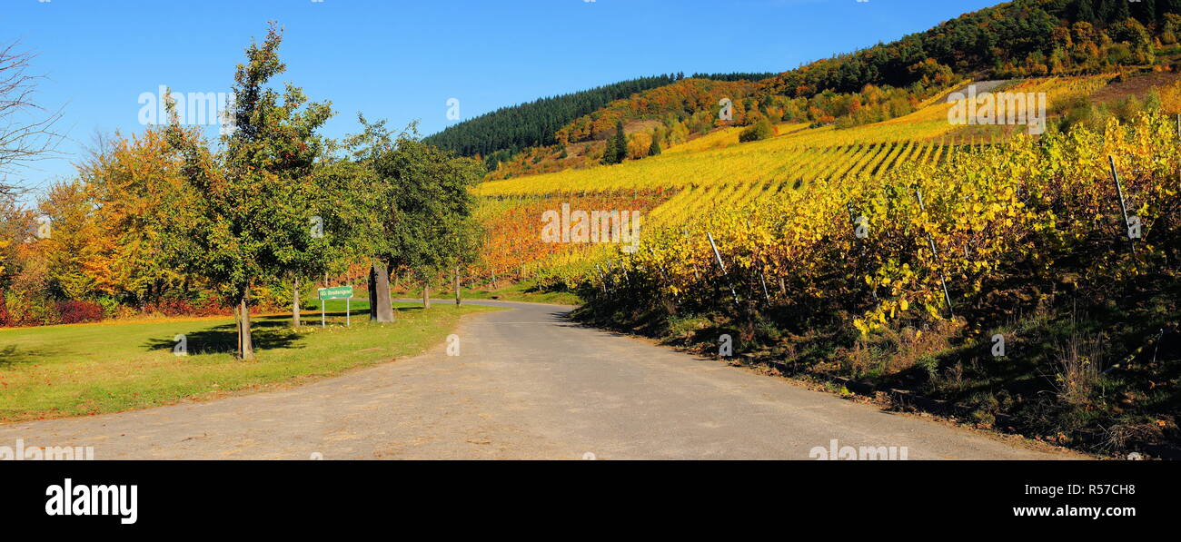 landscape at the 50th parallelrn Stock Photo - Alamy