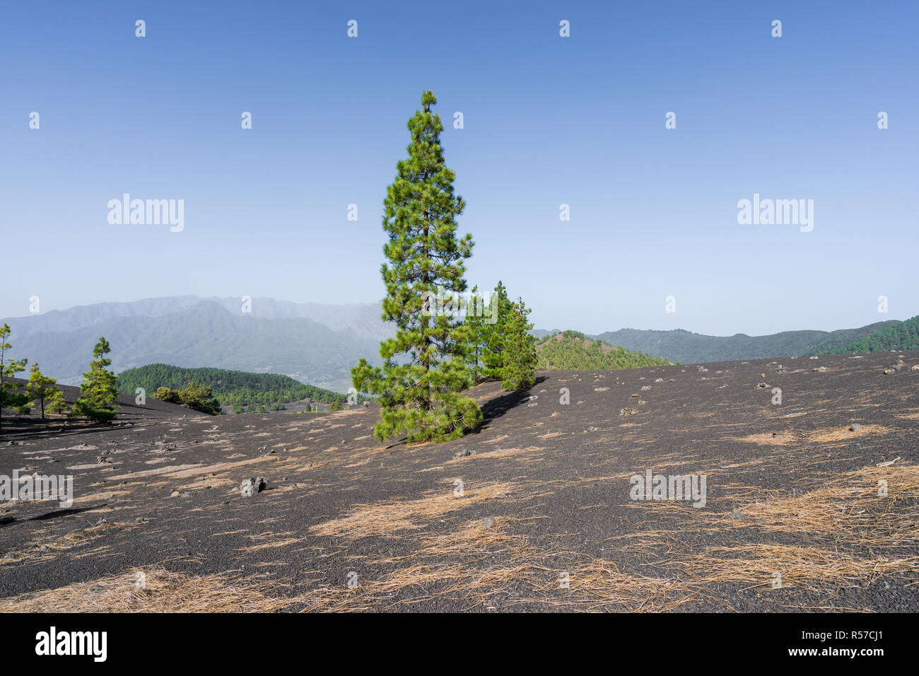 Palma vulcan hi-res stock photography and images - Alamy