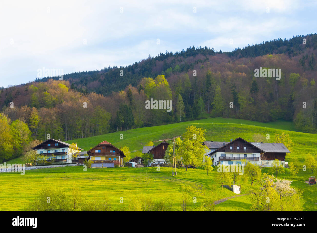 Idyllic austrian alpine cottage, Salzburger Land, Austria Stock Photo ...