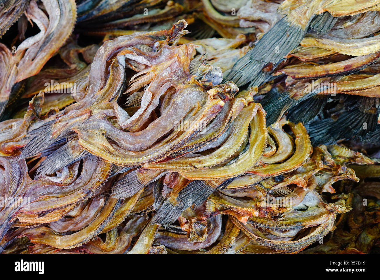 Traditional Asian fish market, stall full of dried seafood in Taunggyi ...