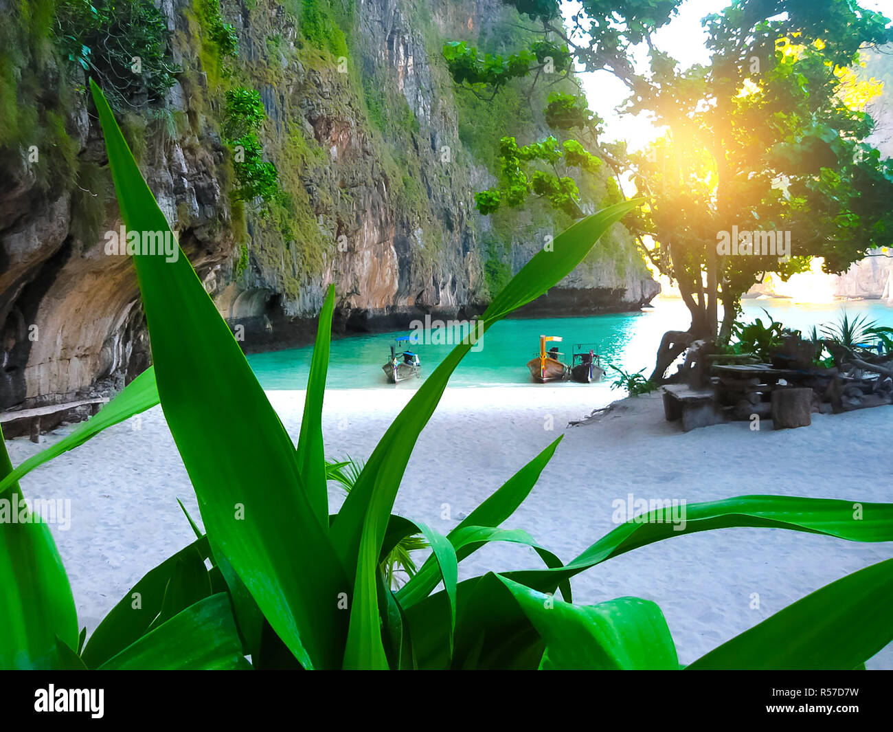 Maya bay thailand light water hi-res stock photography and images - Alamy