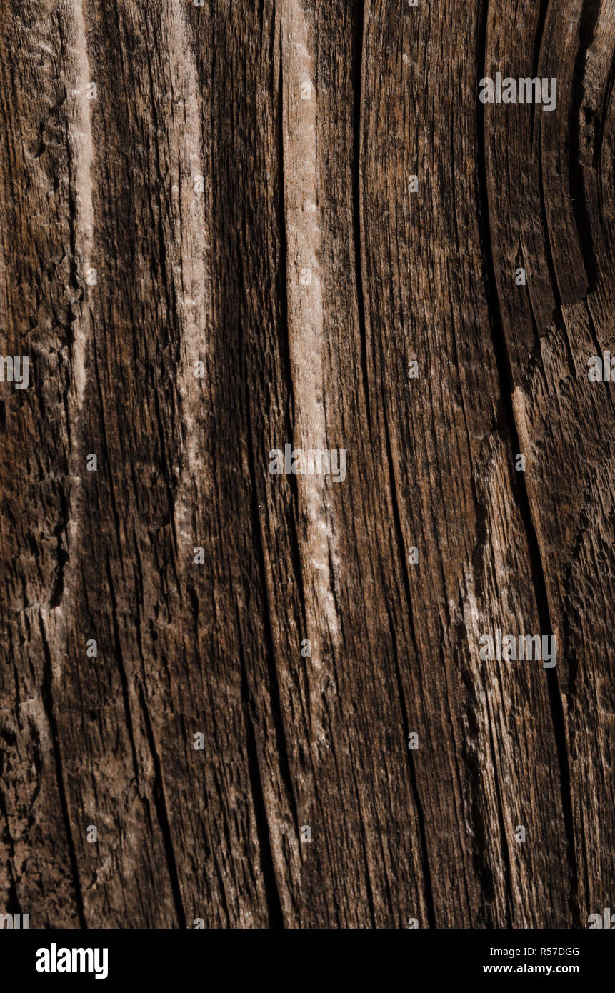 Wood texture neutral gray color background Stock Photo - Alamy