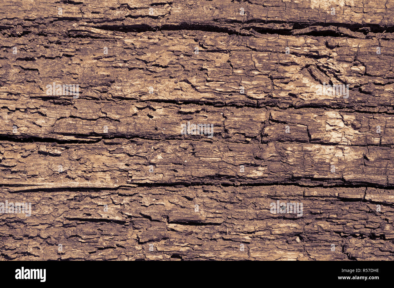 Loose texture of rotten wood Stock Photo - Alamy