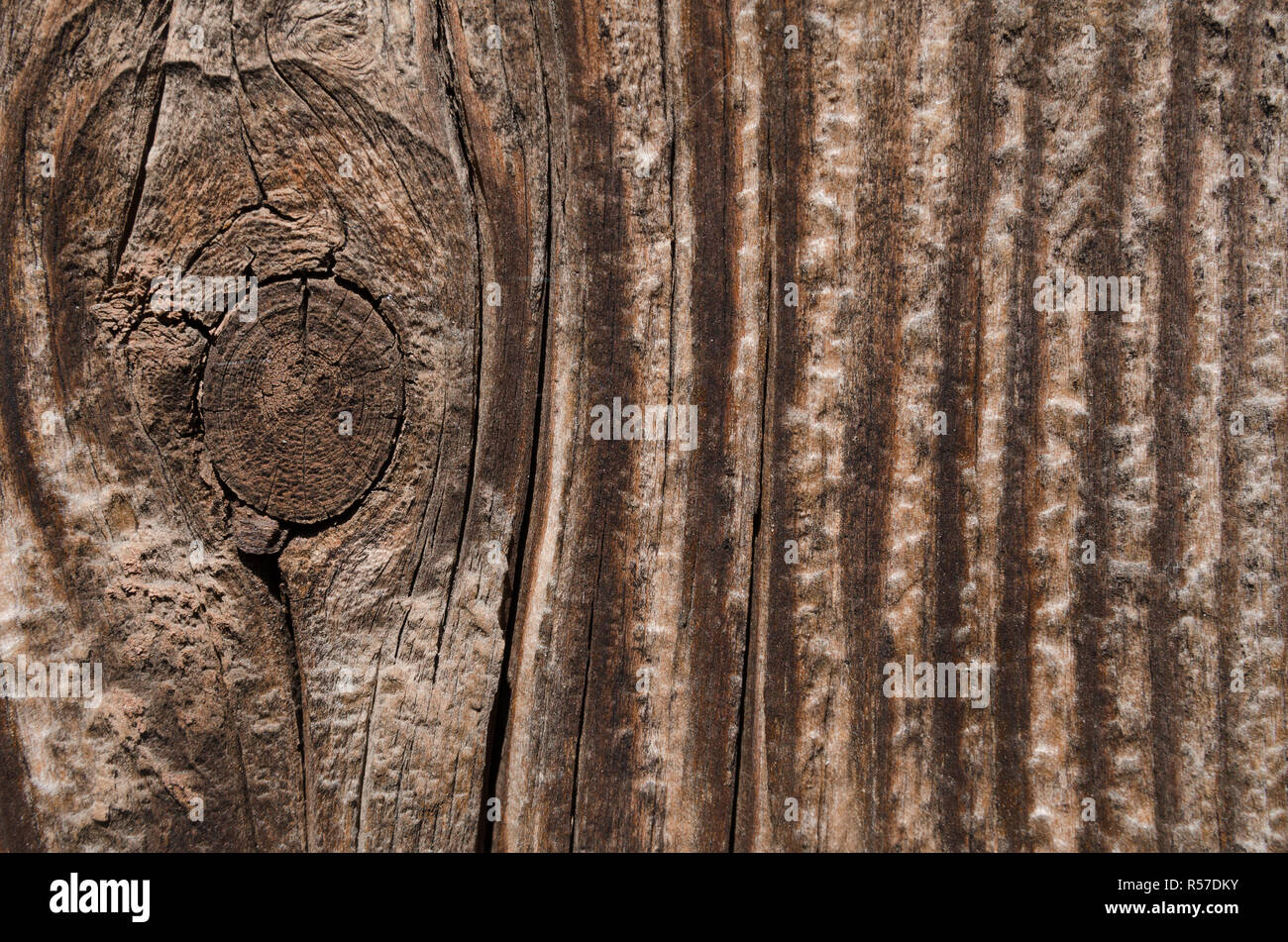 Texture of a brown tree, background Stock Photo - Alamy