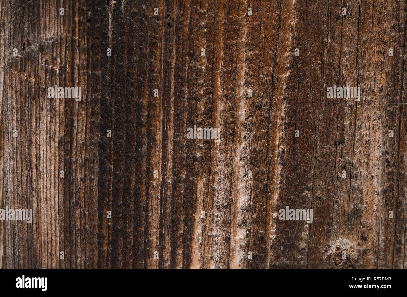 Tree plank wall background Stock Photo - Alamy