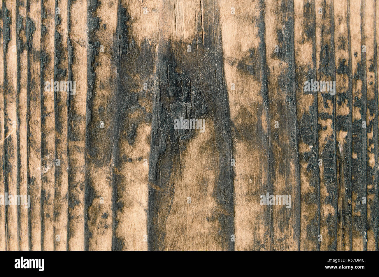 Burnt wood texture yellow color Stock Photo - Alamy
