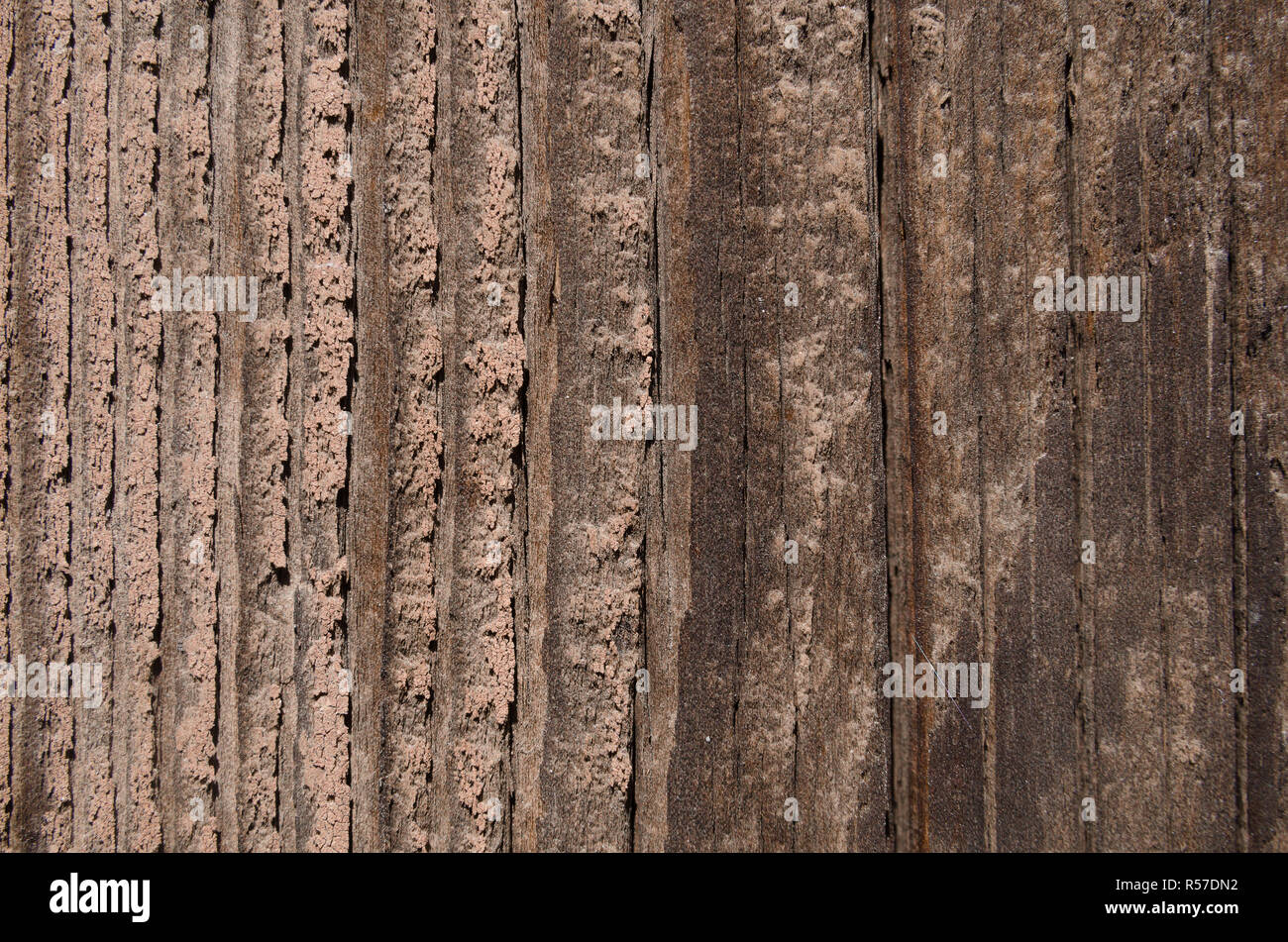 Wood texture dark color background Stock Photo - Alamy