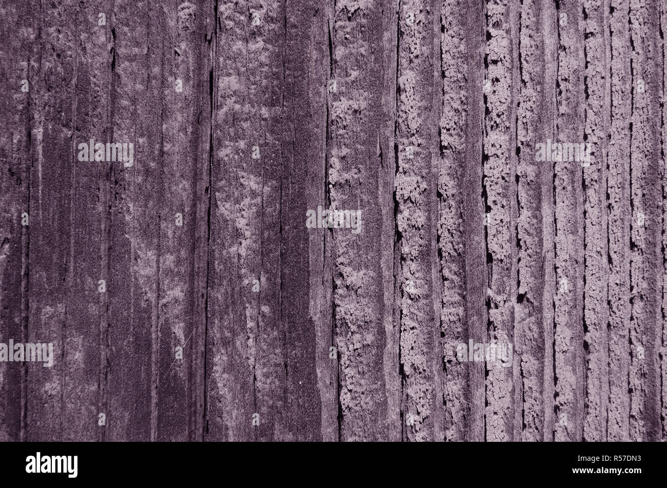 Violet color of wood flooring Stock Photo - Alamy