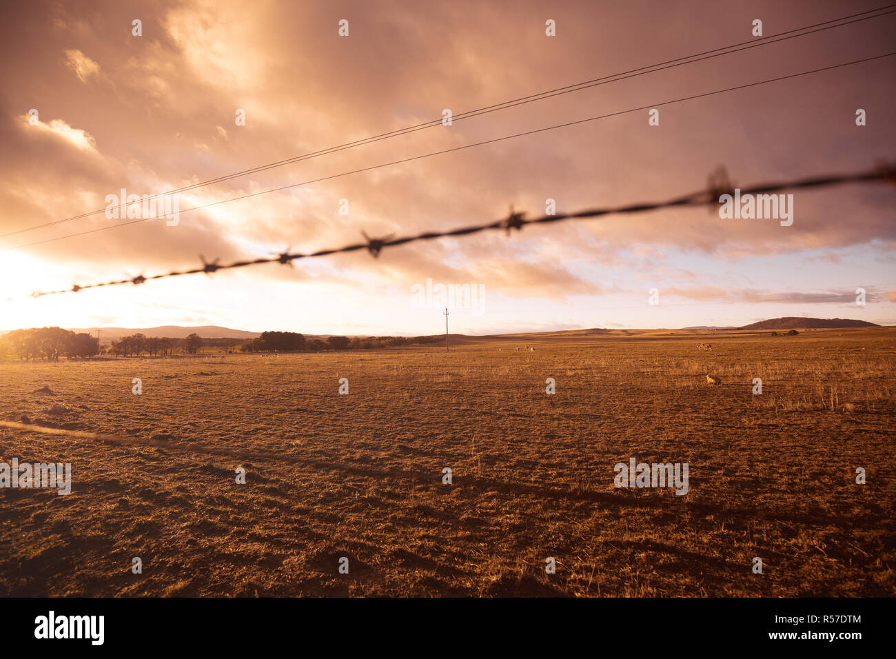 Australian farms hi-res stock photography and images - Alamy