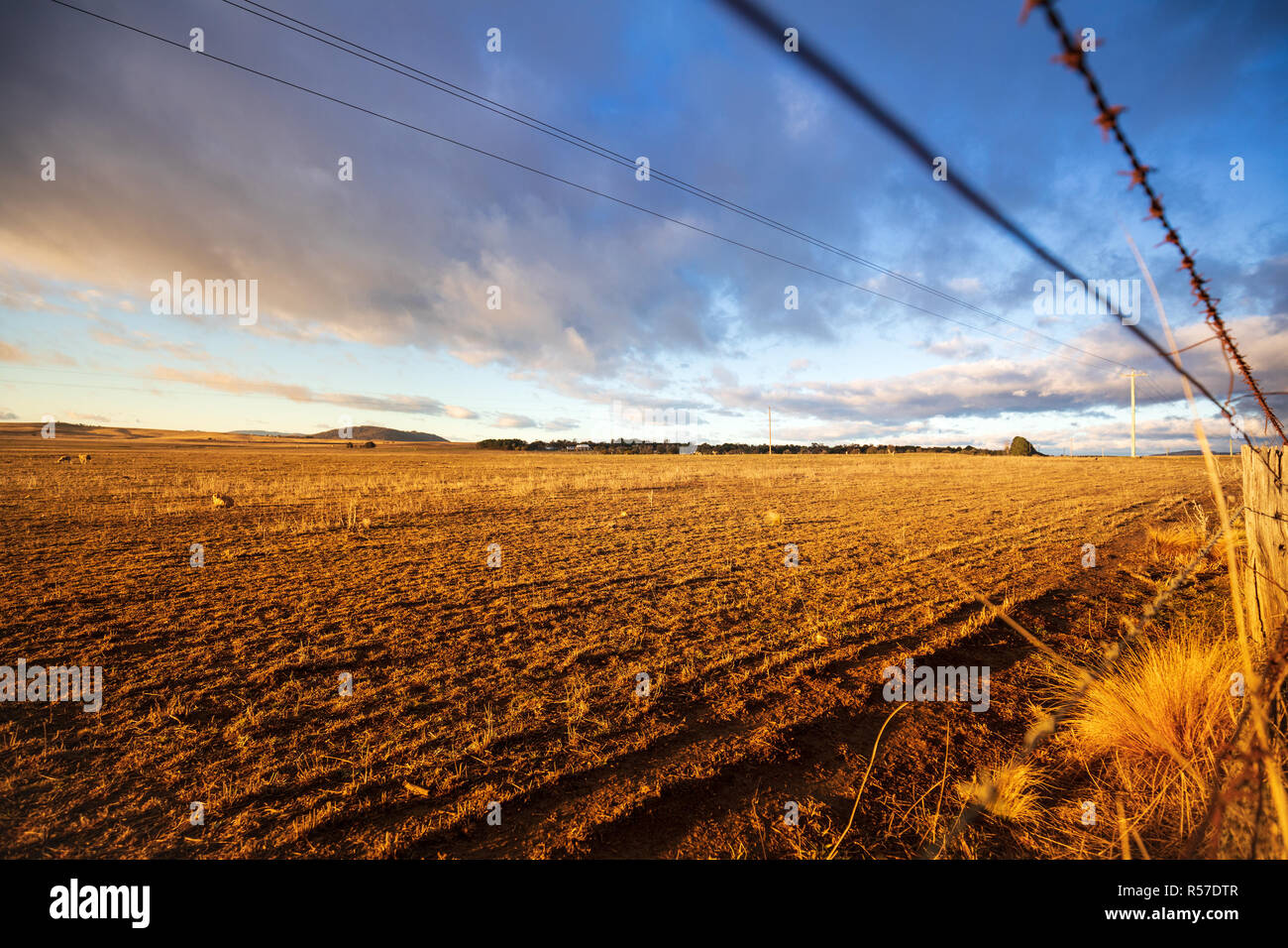 Australian farms hi-res stock photography and images - Alamy