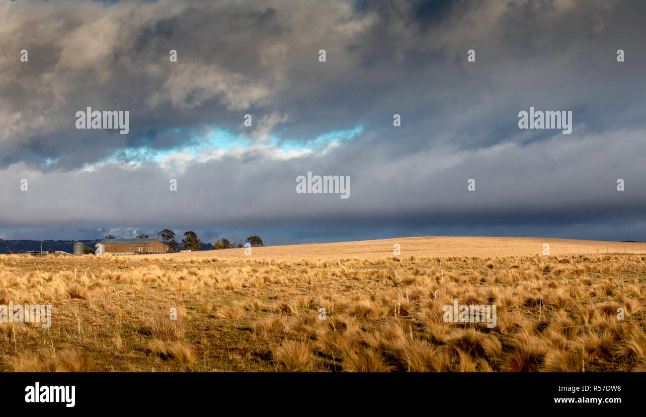 Farming farm grass hi-res stock photography and images - Alamy