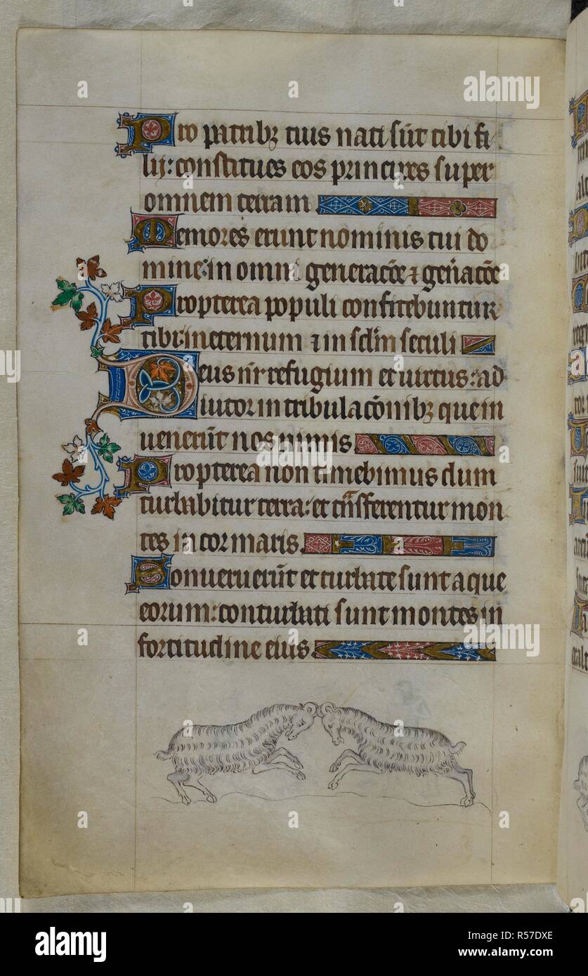 Bas-de-page scene of two rams butting heads in combat. Psalter ('The ...