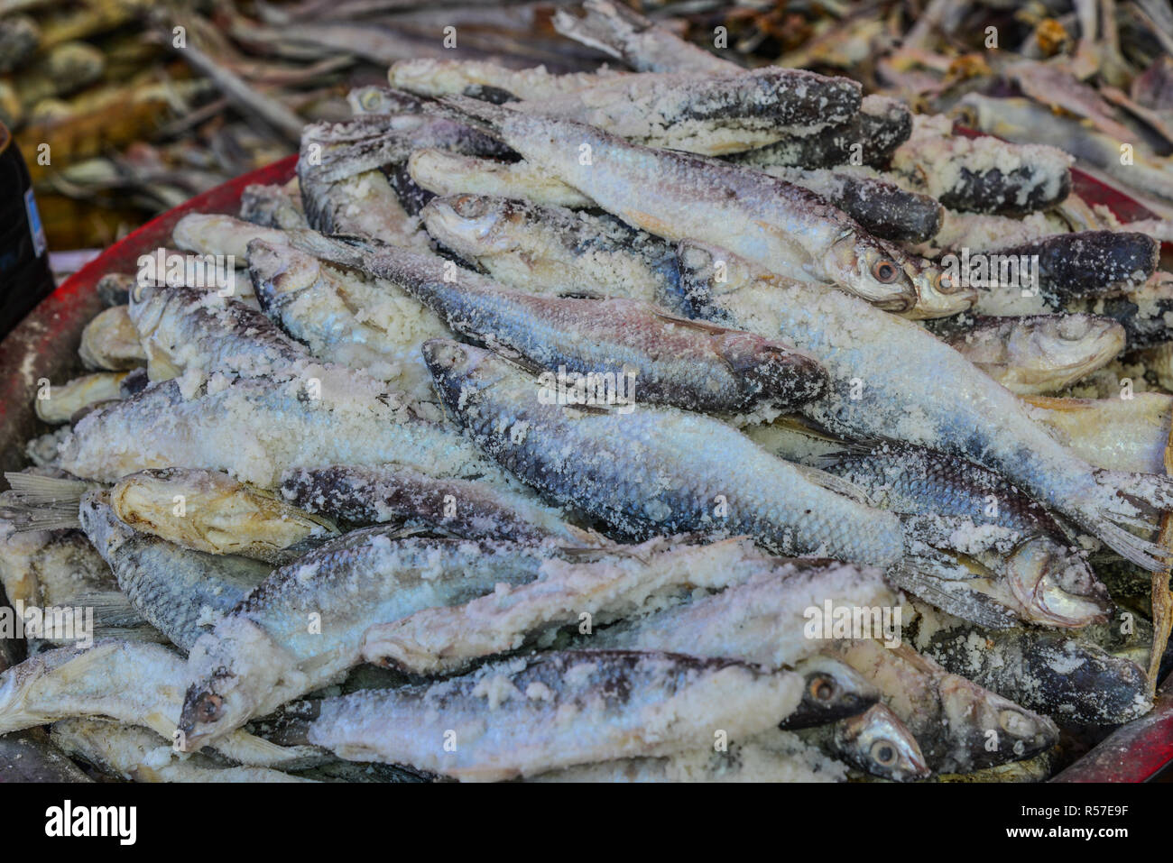 Traditional Asian fish market, stall full of dried seafood in Taunggyi ...
