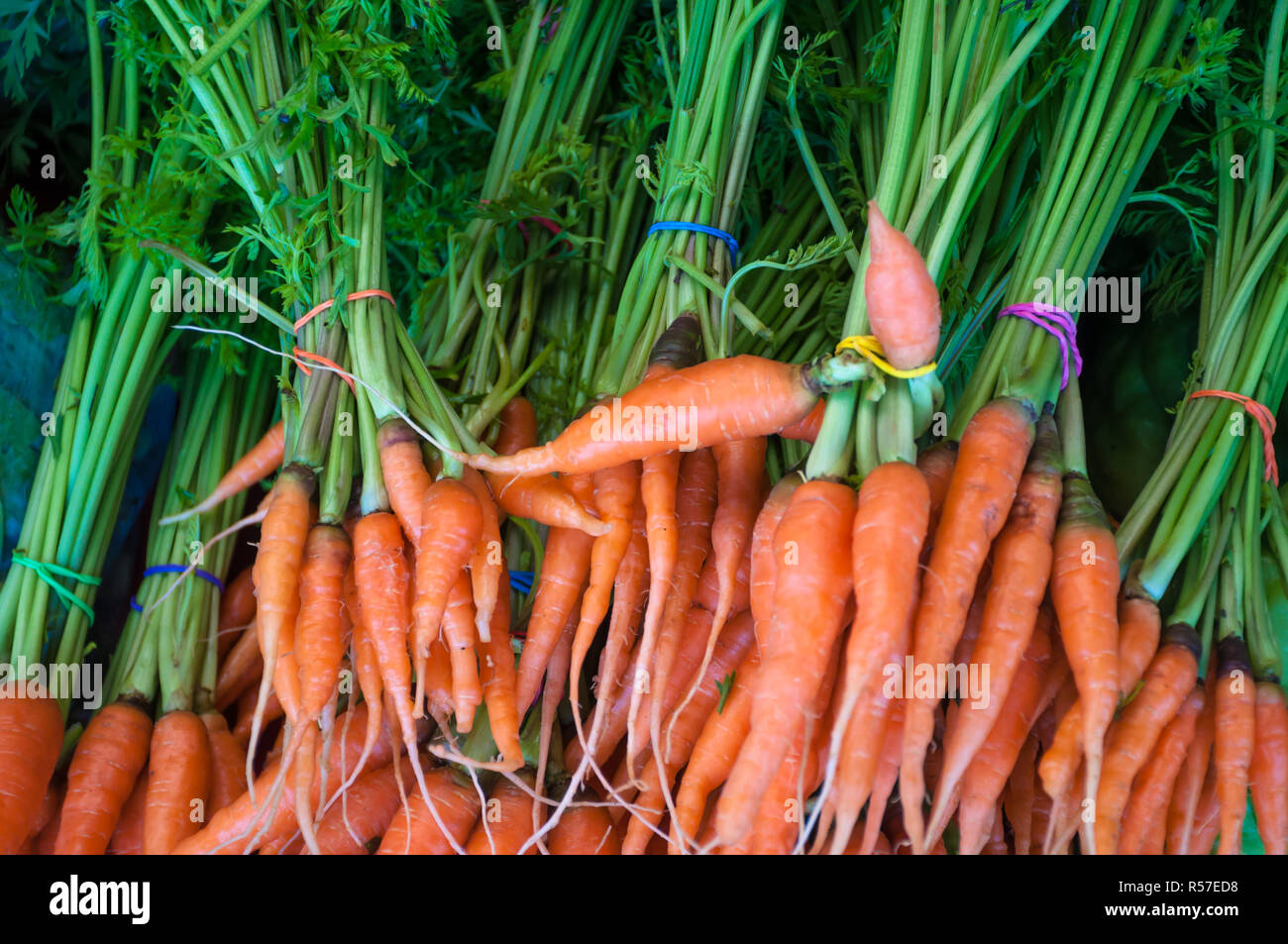 Close up little carrot fresh market with root and leaf background Stock ...