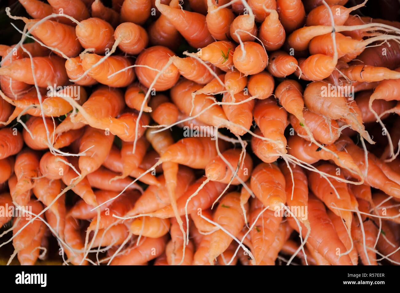 Close up little carrot fresh market with root and leaf background Stock ...
