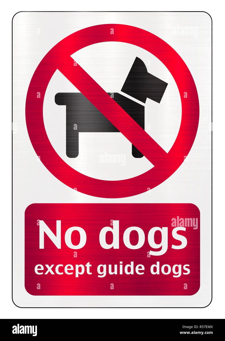 no dogs allowed except guide dogs Stock Photo - Alamy