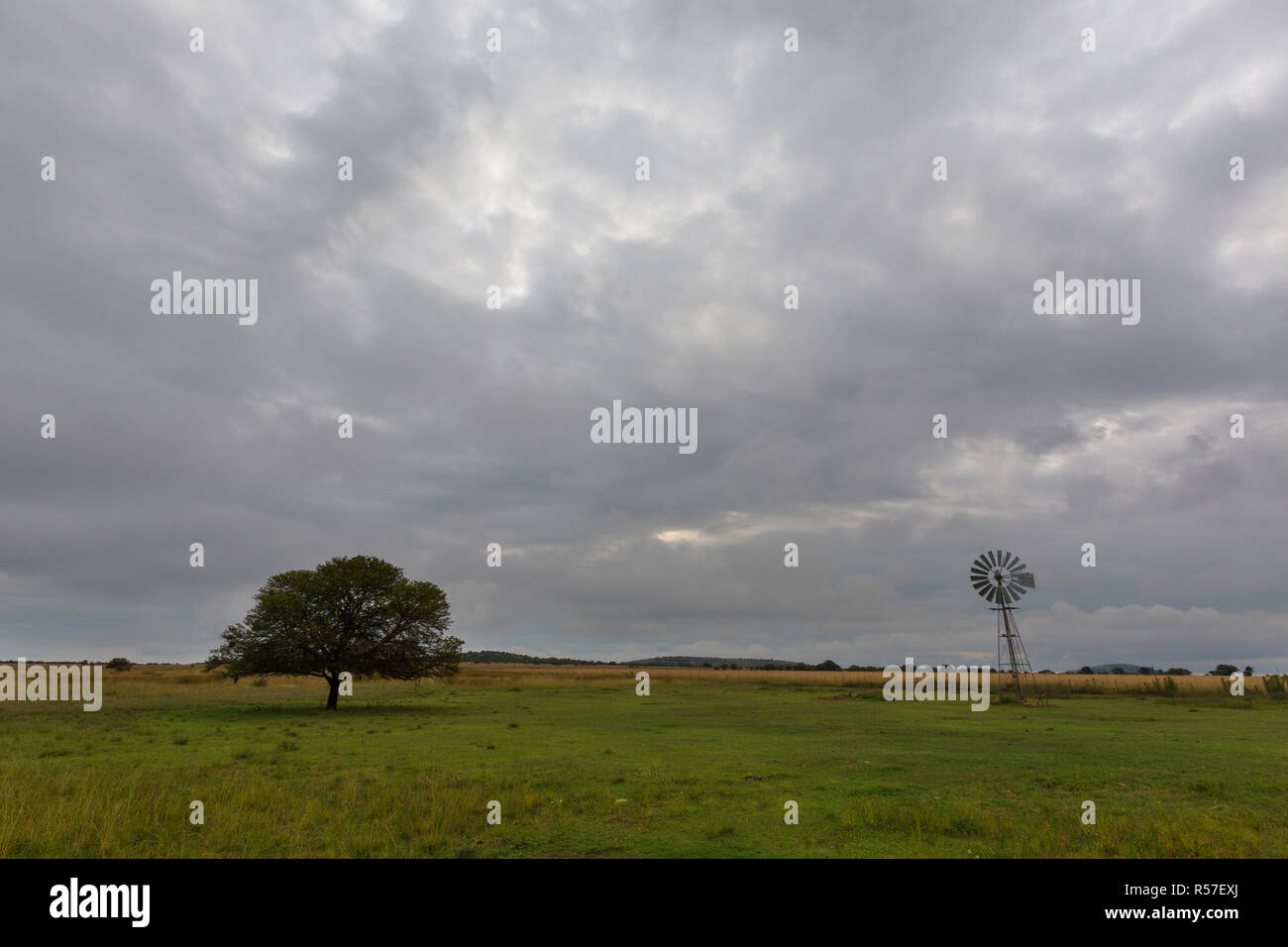 A Tree and a Windmill Stock Photo - Alamy