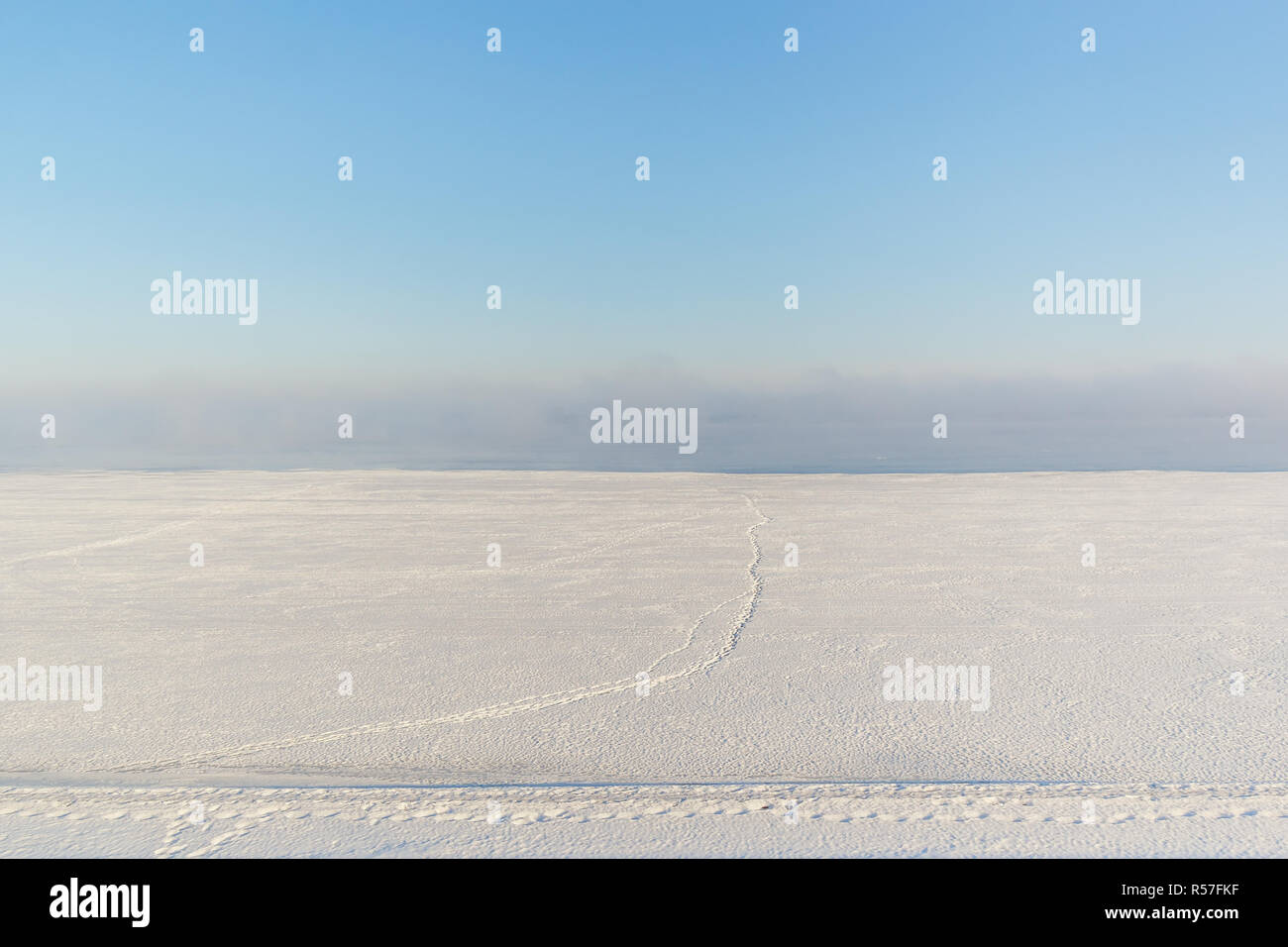 Frogl hi-res stock photography and images - Alamy