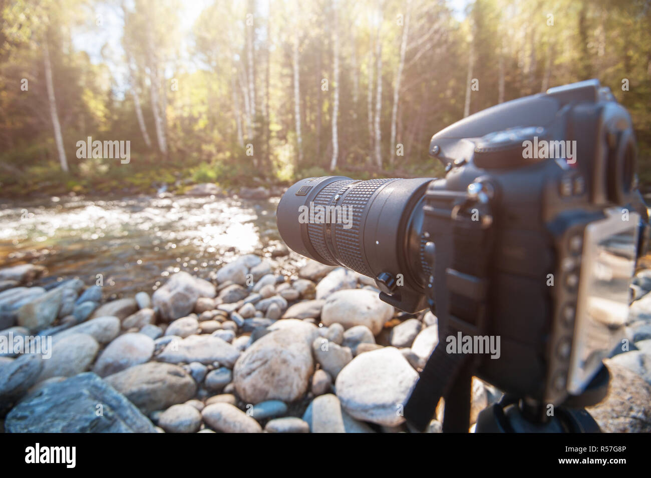 Longfocus hi-res stock photography and images - Alamy