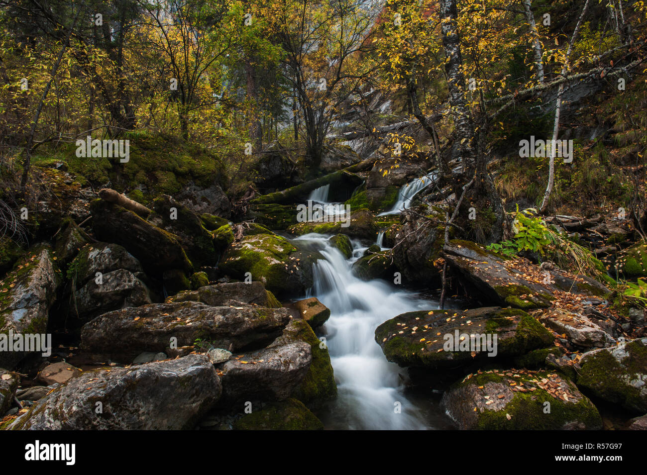 Waterfall on river Shinok Stock Photo - Alamy