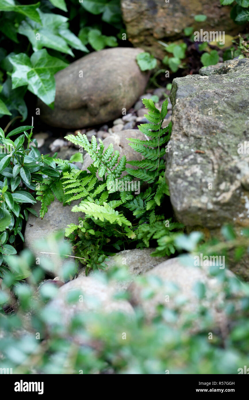 Grã nt hi-res stock photography and images - Alamy
