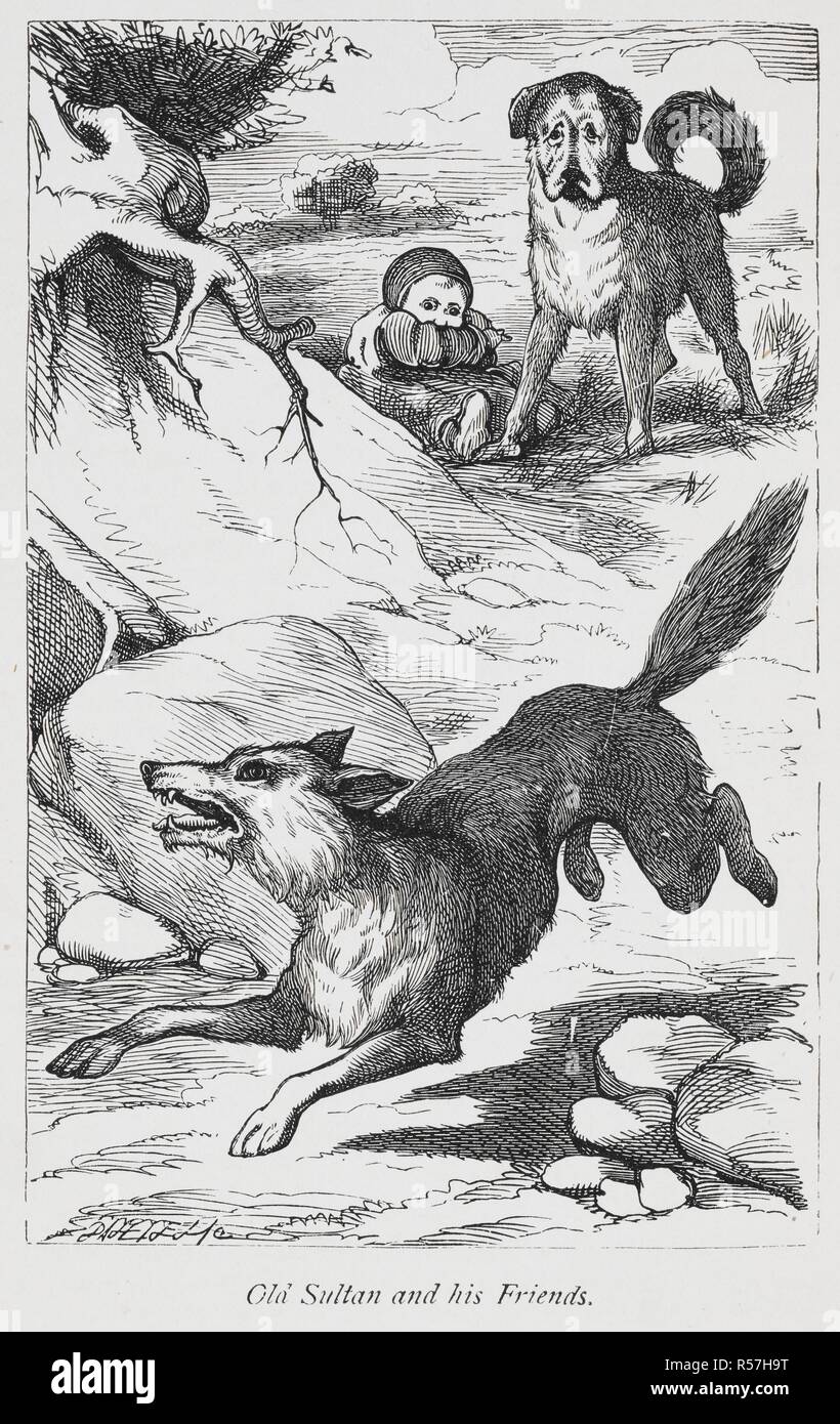 Old sultan and his friends. Grimms' fairy tales and household stories ...